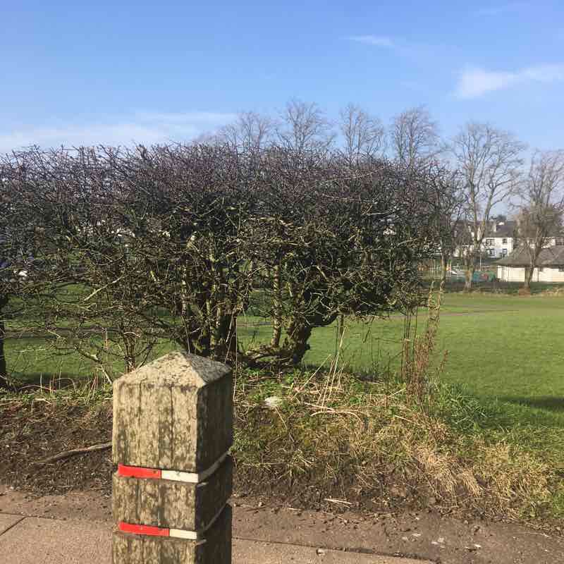 The village of eaglesham | Walking Map