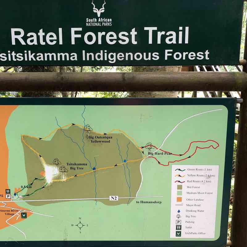 Ratel Forest Trail in Eastern Cape | Walking Map