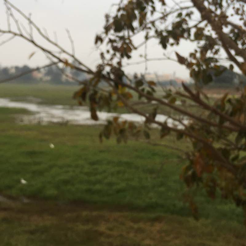 Bommasandra Lake in Karnataka | Walking Map