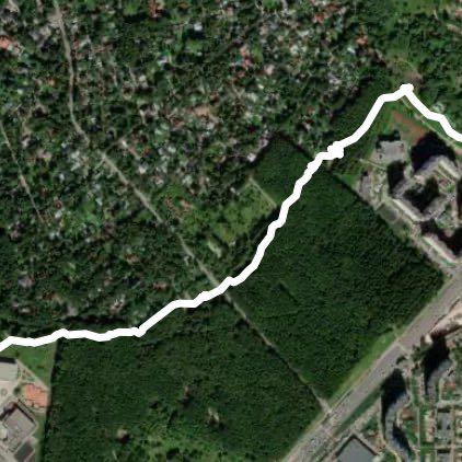 Forest Walk Trail - Moscow, Russia | Pacer