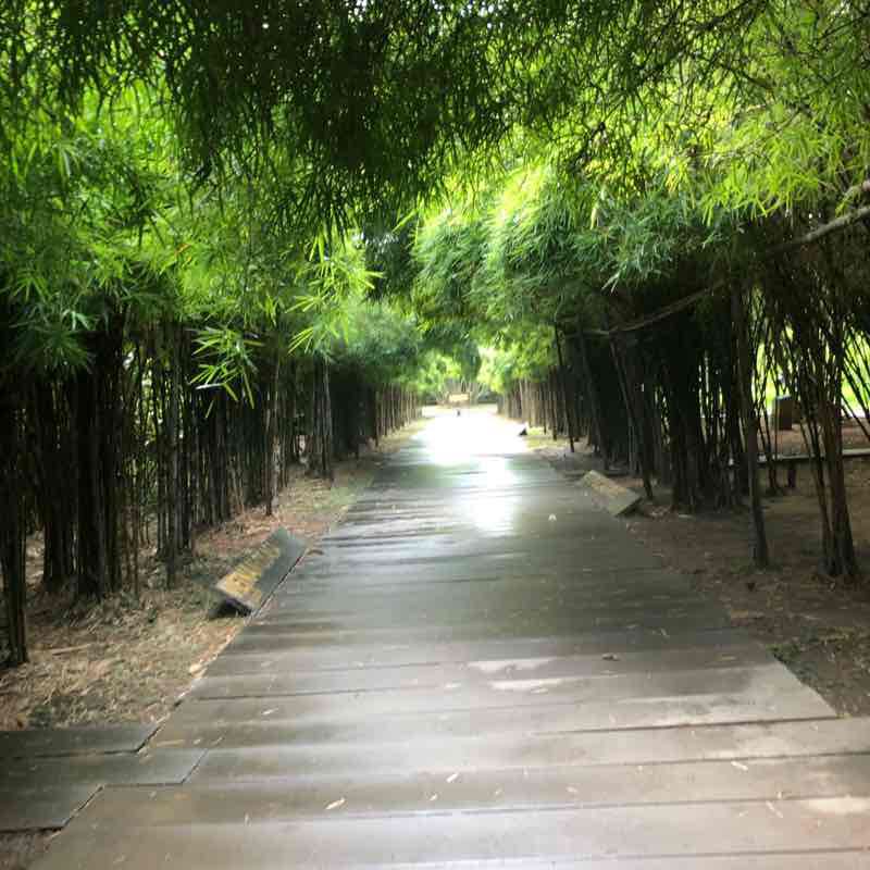 Chatuchak Area 5km Walk Trail - Bangkok, Bangkok Metropolitan Region ...