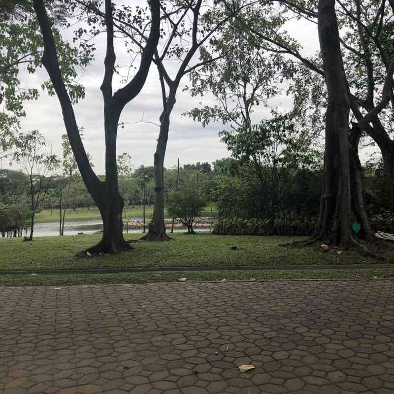 Bangkok Walk Trail - Bangkok Metropolitan Region, Thailand | Pacer