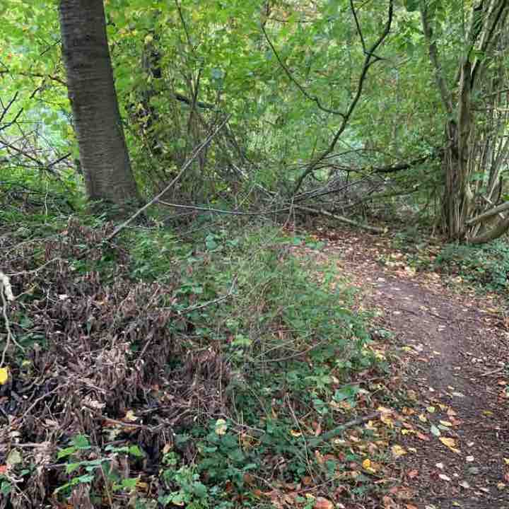 Pleasant and beautiful forest edge in Nordrhein-Westfalen | Walking Map