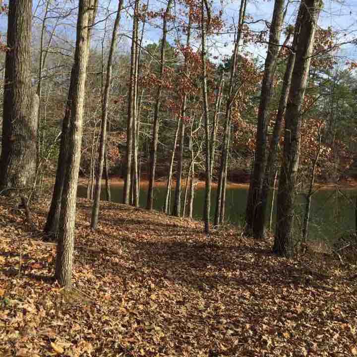 Parc Bolding Mill - Route de la plage Marche - Gainesville, Géorgie ...