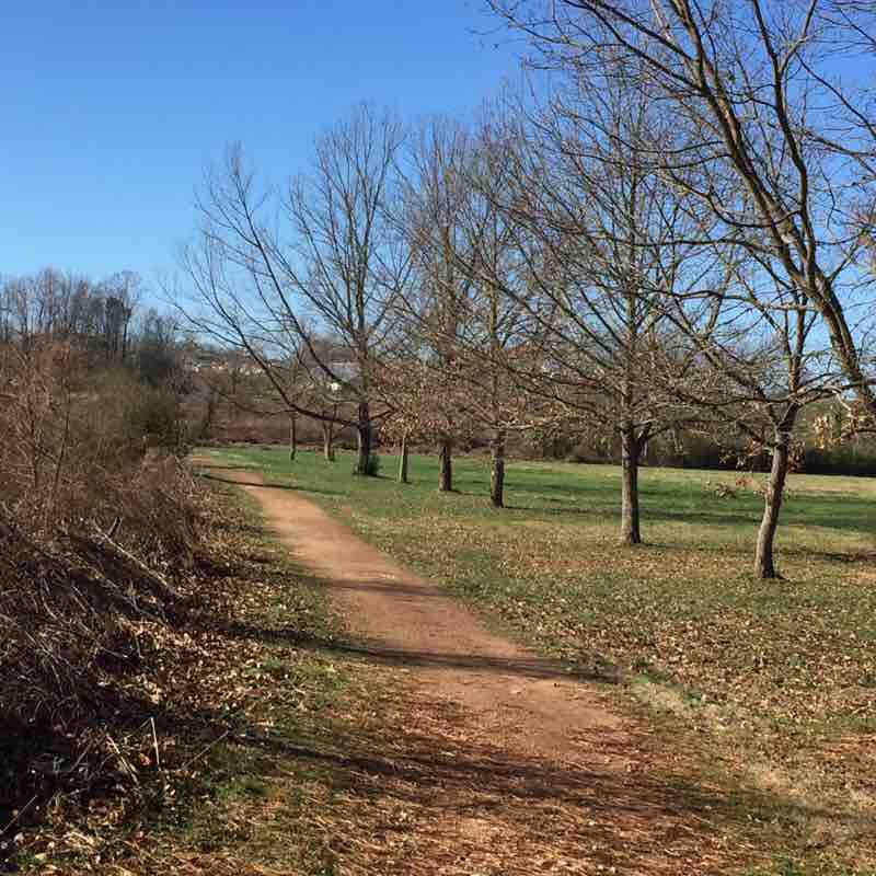 North Hall Park - Whippoorwill Trail Walk - Gainesville, Georgia, USA ...