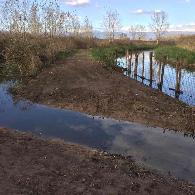 Marshes of Fucecchio + wood Walk Trail - Larciano, Province of Pistoia ...