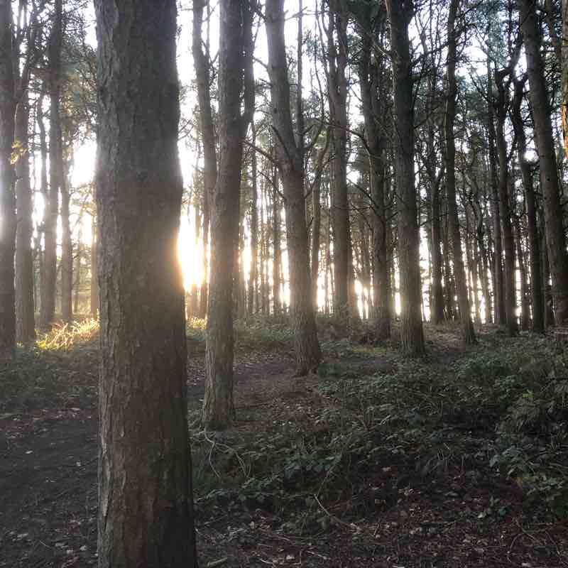 Hurstwood | Walking Map