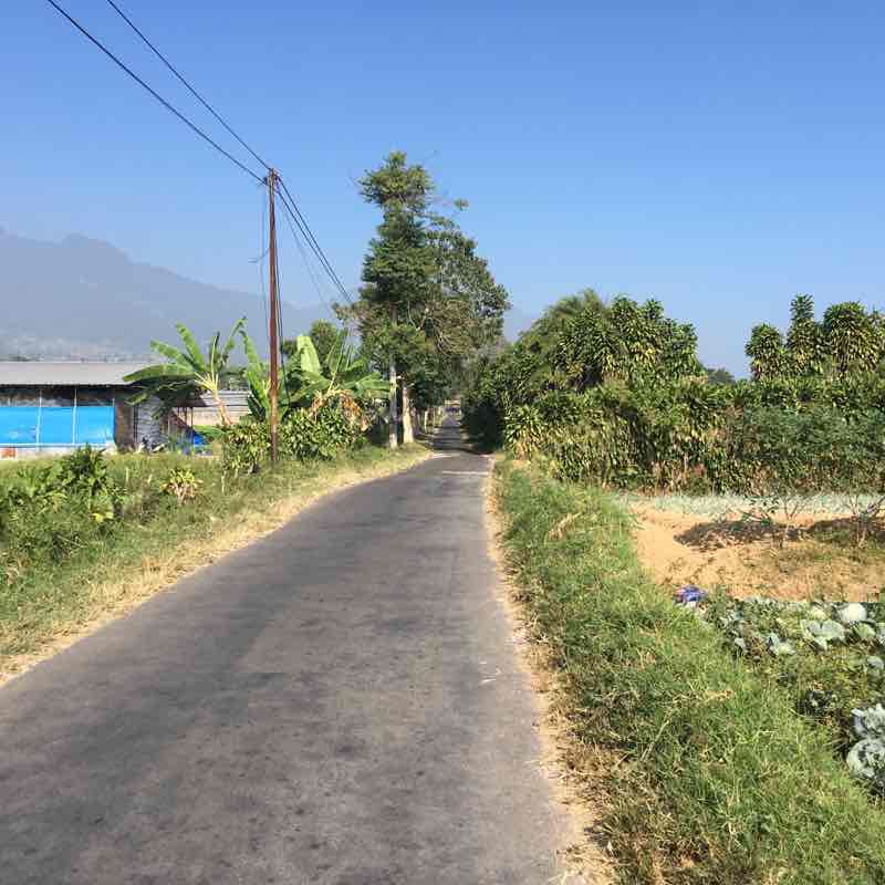The foot of Mount Gede Pangrango | Walking Map