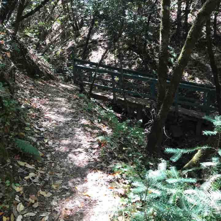 Canyon Creek Trail Walk - Ukiah, California, USA | Pacer