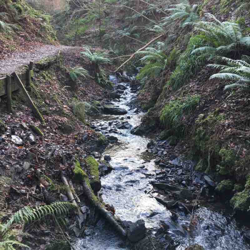 Cregagh Glen a Viewpoint | Walking Map