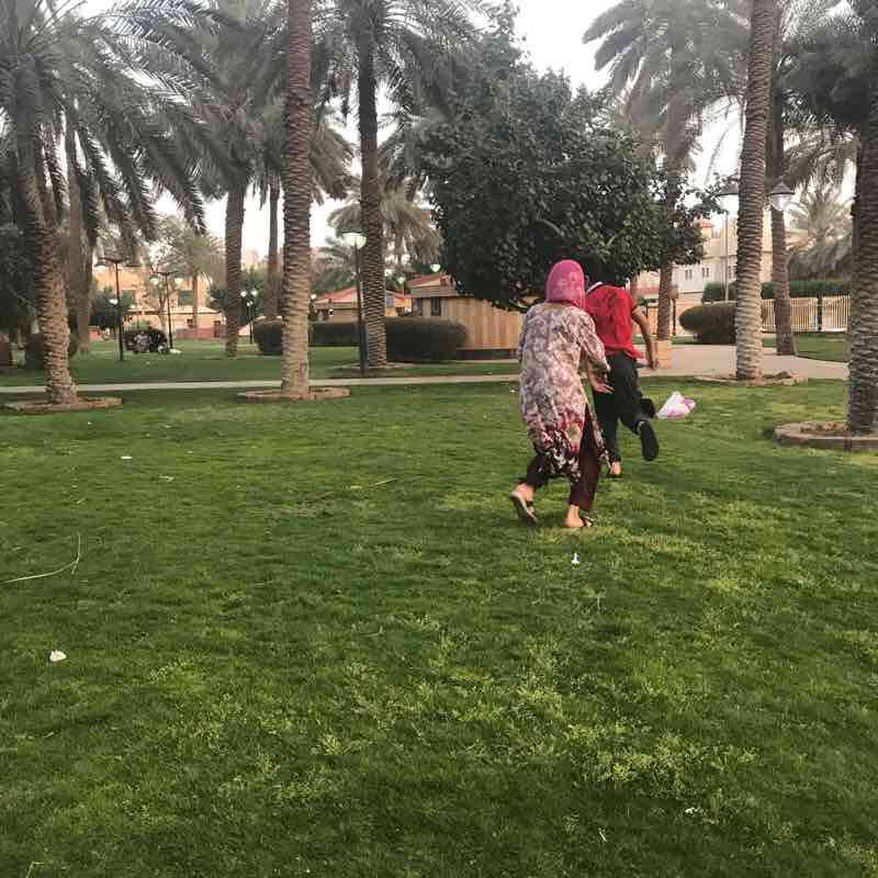 Olaya park in Riyadh Province | Walking Map