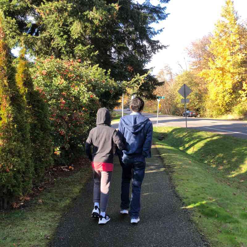 从家去Factoria mall | Walking Map