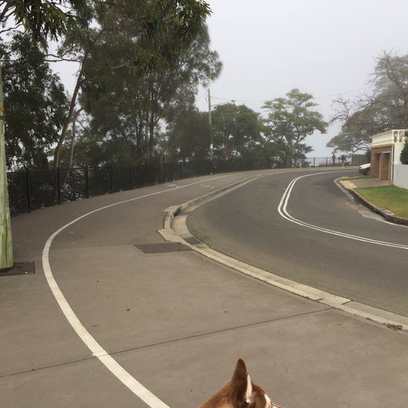 Iron cove bay run Trail - Sydney, New South Wales, Australia | Pacer