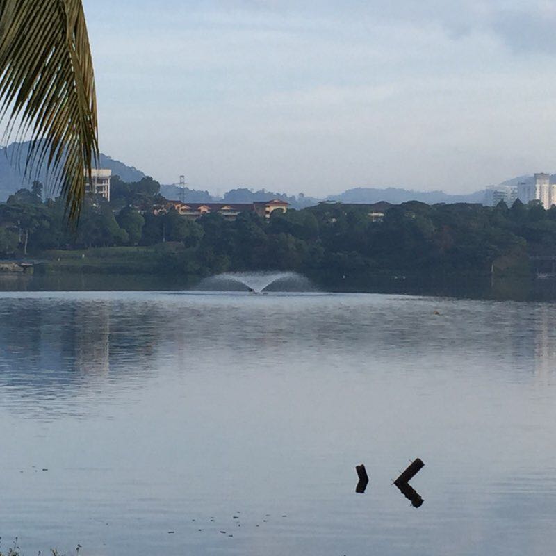 Kepong Metropolitan Park, Malaysia Run - Batu Caves, Selangor | Pacer