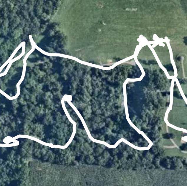 camden | Walking Map