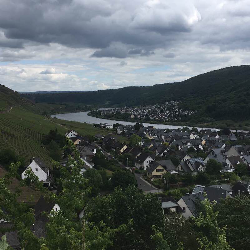 Traumpfädchen Moseltraum Walk Trail - Winningen, Rhineland-Palatinate ...
