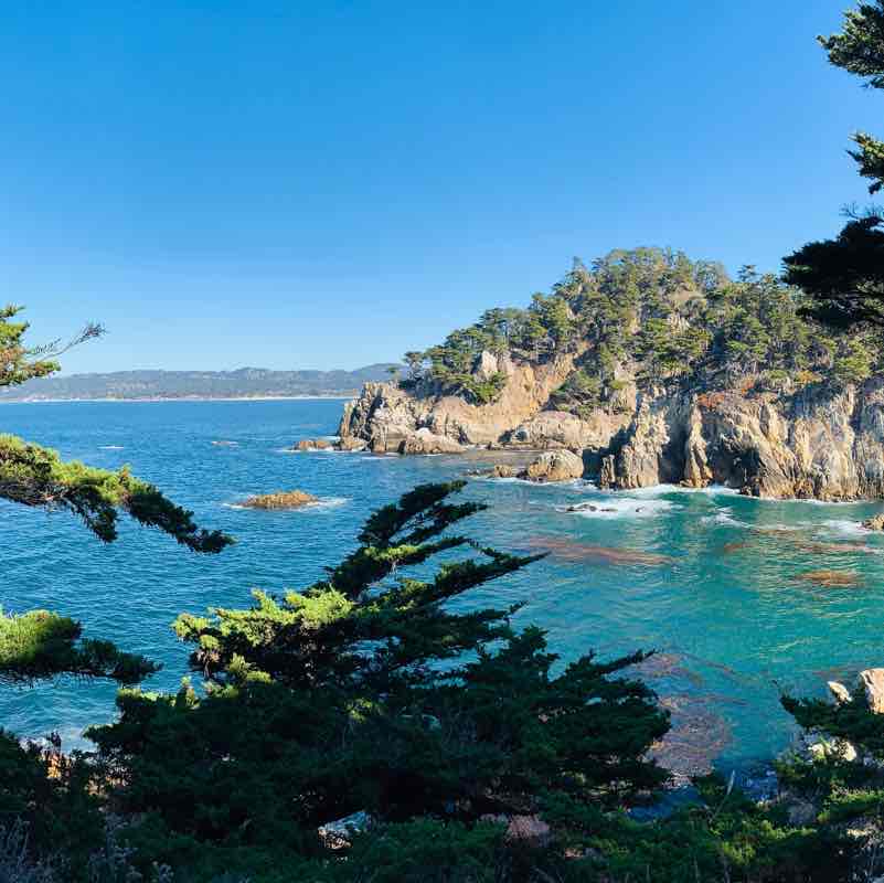 Point Lobos Walk Trail - Carmel, California, USA | Pacer
