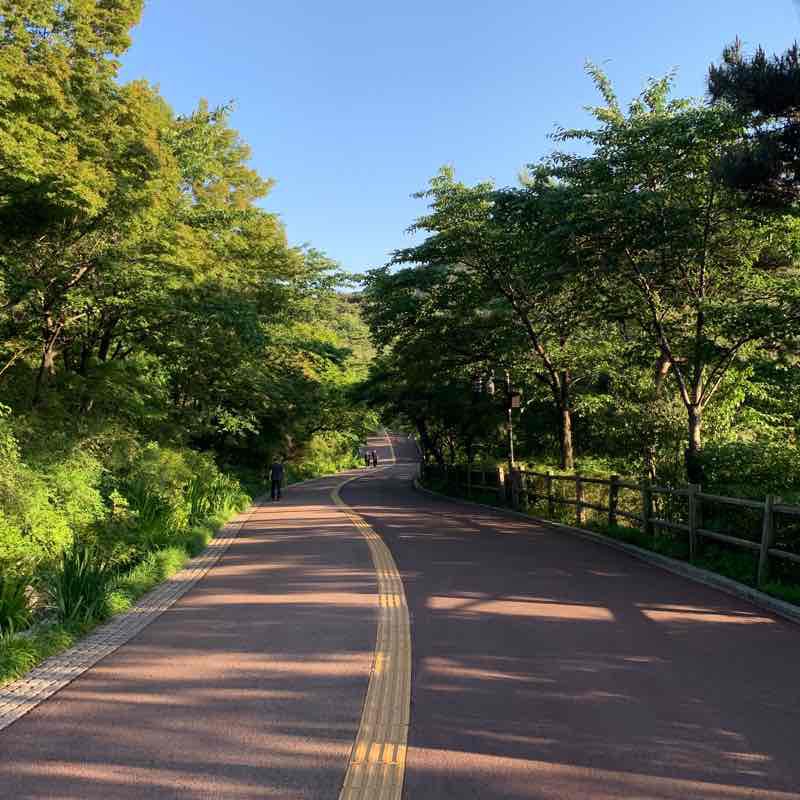 Seoul Central Terminal Road Walk - Yongsan-gu, South Korea | Pacer