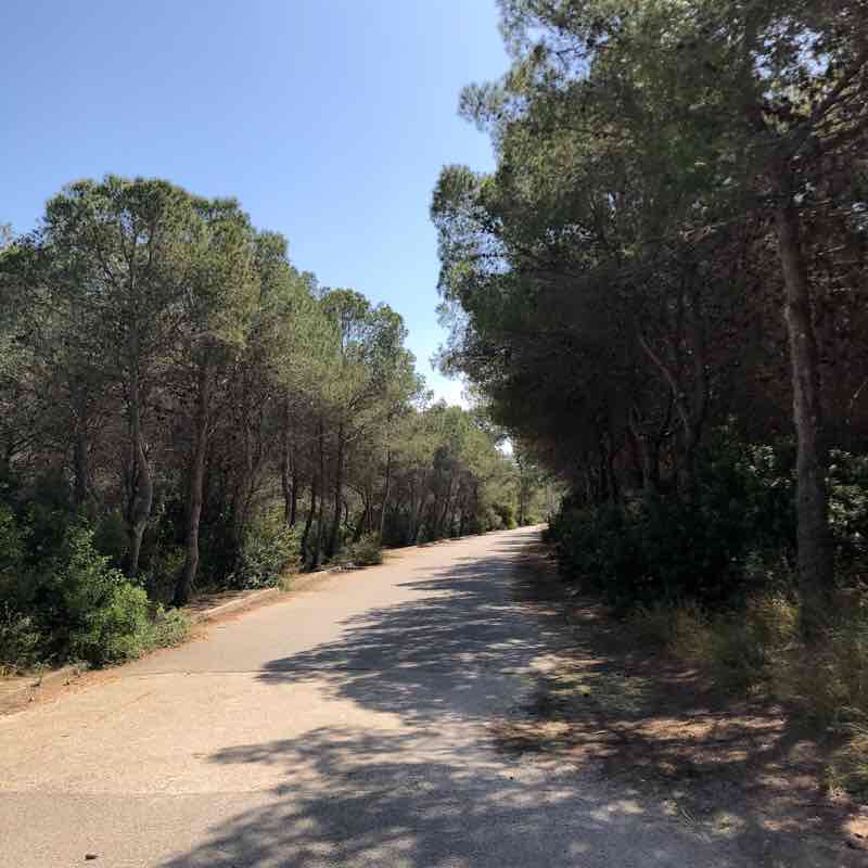 Devesa del Saler | Walking Map