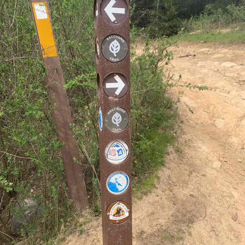 West Ridge Trail in Redwood regional park in California | Walking Map