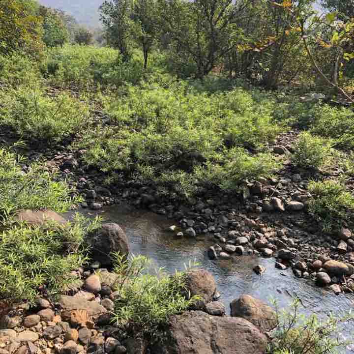Road to the Rock Pool in Maharashtra | Walking Map