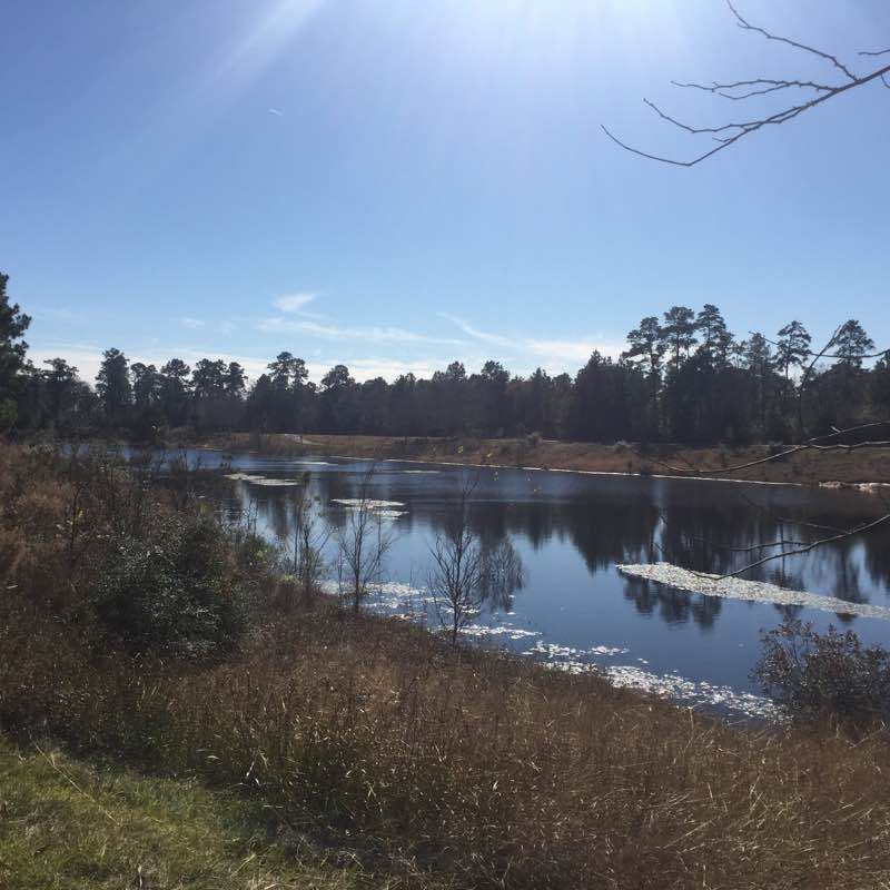 Waterway | Walking Map