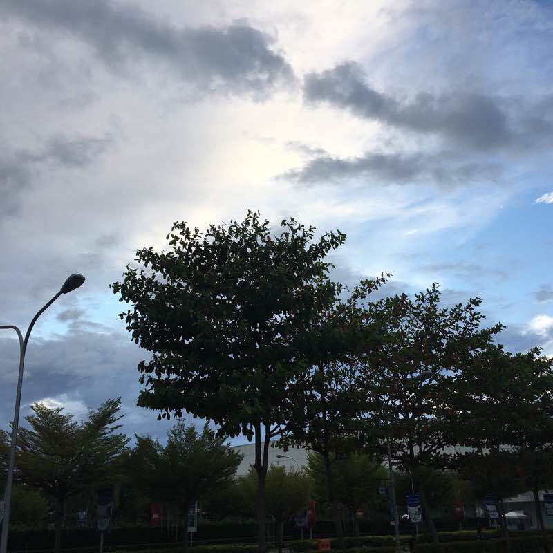 Davao Buhangin-SM Lanang | Walking Map