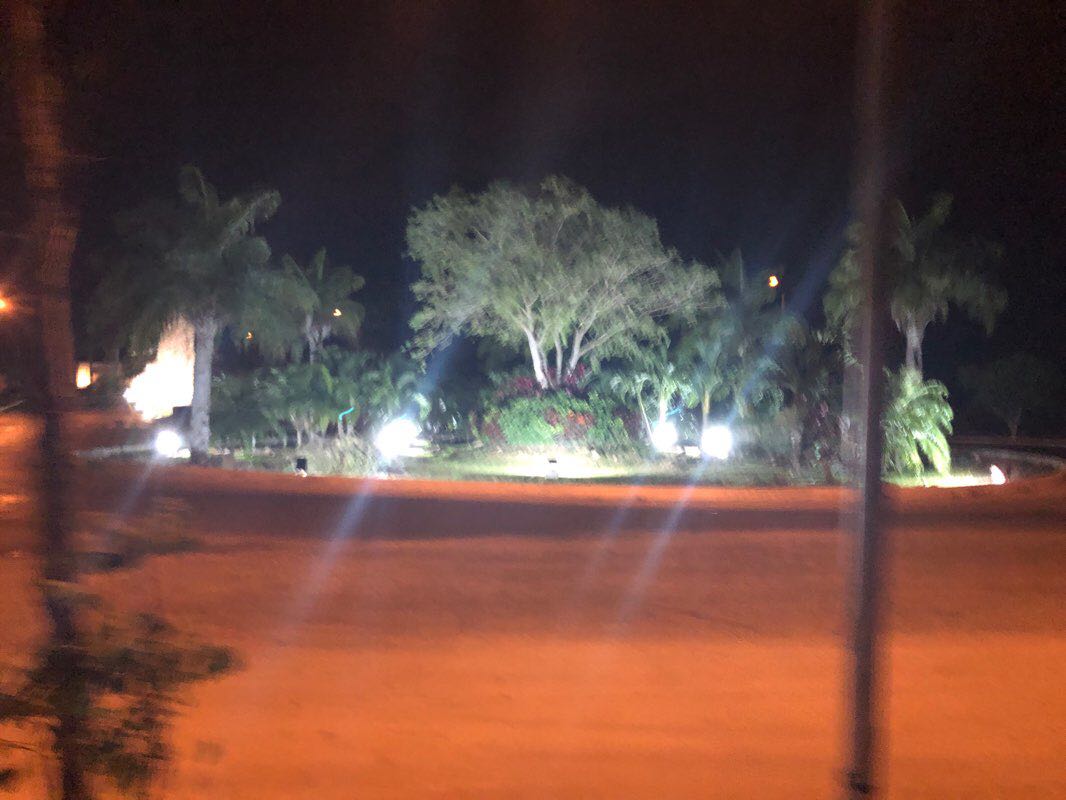 Gran san Pedro Cholul Walk Trail - Mérida, Yucatán, Mexico | Pacer