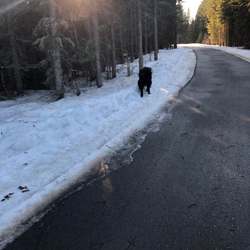 Edson Trails Walk - Alberta, Canada | Pacer