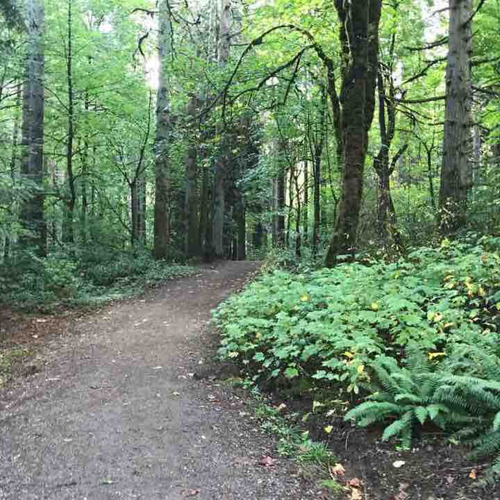 Whipple Creek in Washington | Walking Map