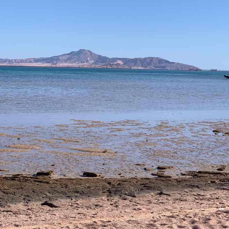 Walk along the Nabq Bay | Walking Map