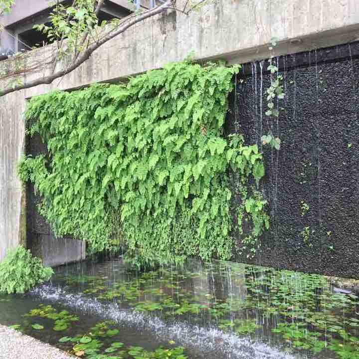 山下里自行車道 Walk Trail - Toufen Township, Miaoli County, Taiwan, China | Pacer