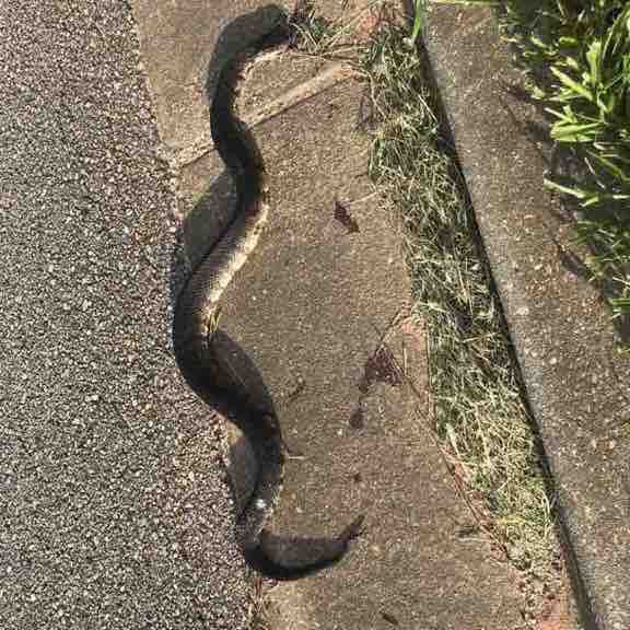 Moccasin Way | Walking Map