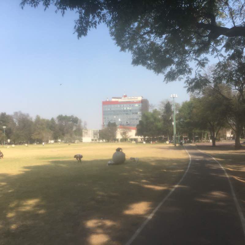 Las Islas UNAM Correr Camino - Ciudad de México, México | Pacer