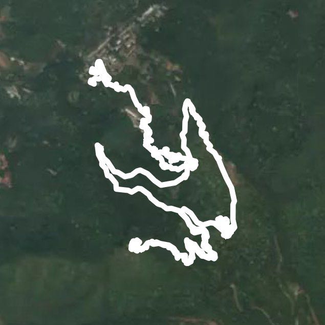 Kadoorie Farm Hike Trail - Tai Po District, Hong Kong | Pacer