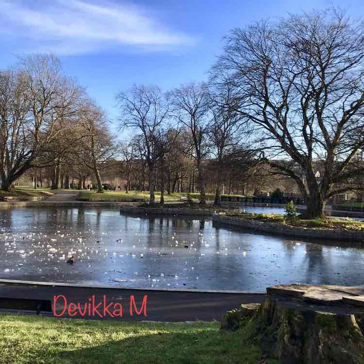 Duthie Park | Walking Map