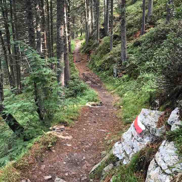 From the Rodella pass to the GrosseGlaber and back | Walking Map