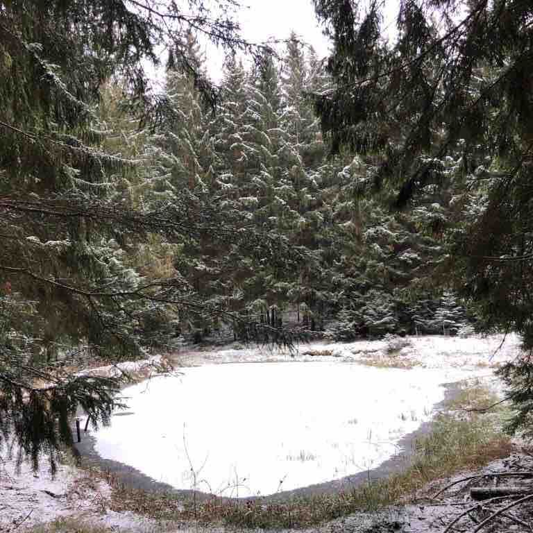 Around Staitz Walk Trail - Auma-Weidatal, Thuringia, Germany | Pacer