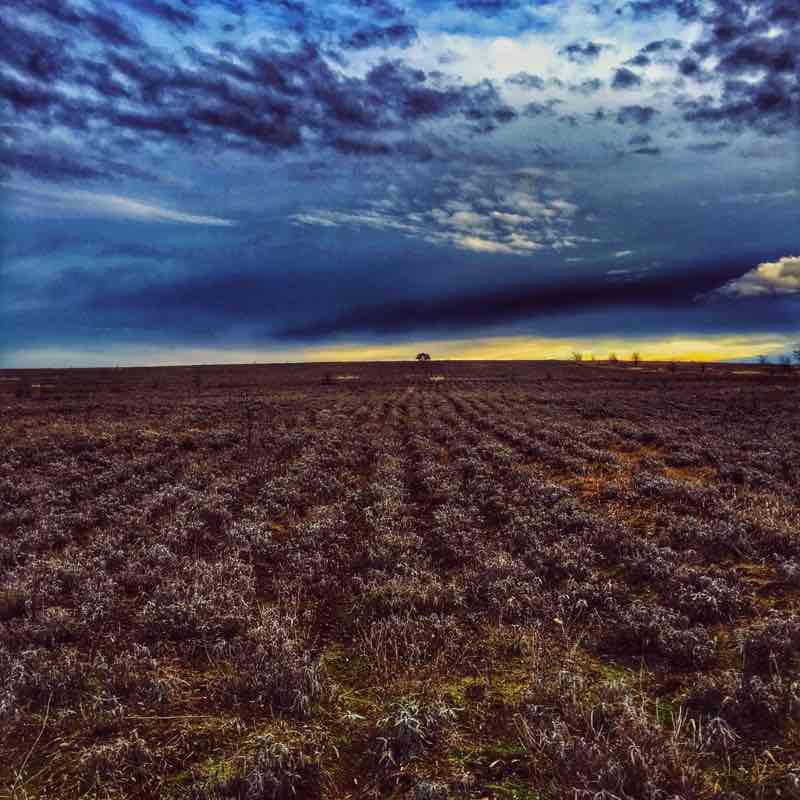 In search of the mounds Walk Trail - Crimean Peninsula, Ukraine | Pacer