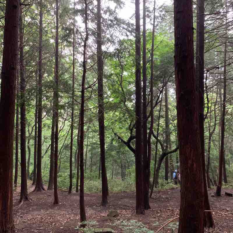 Mudeungsan (Rabbit) Hike Trail - Buk-gu, Gwangju, South Korea | Pacer