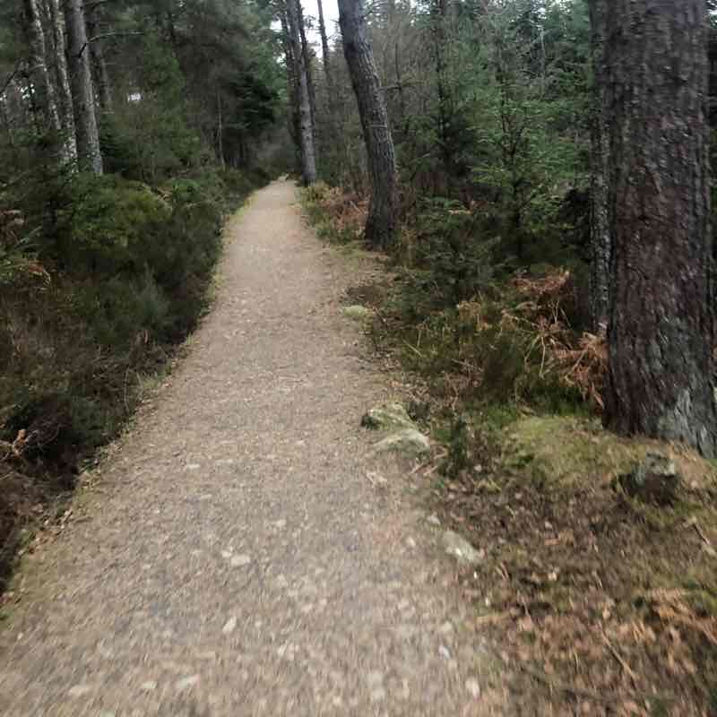 Bennachie Walk Trail - Inverurie, Scotland | Pacer