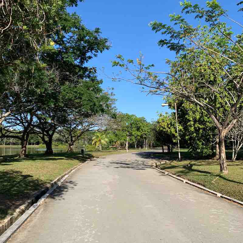 Natural Jogging Track Walk - Kota Kinabalu, Sabah, Malaysia | Pacer