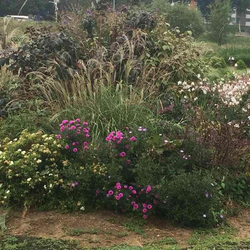 Han River Hike Trail - Yangcheon-gu, Seoul, South Korea | Pacer