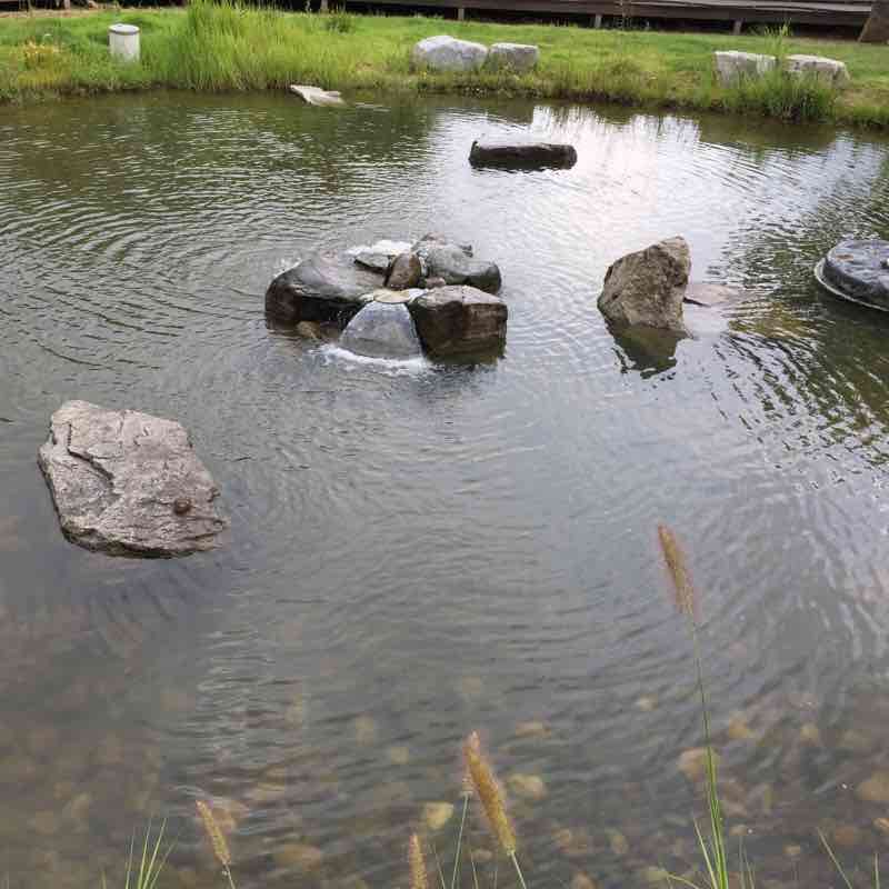 Han River Hike Trail - Yangcheon-gu, Seoul, South Korea | Pacer