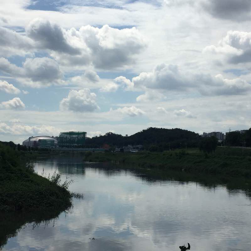 Río Han Sendero de caminata - Yangcheon, Seúl, Corea del Sur | Pacer