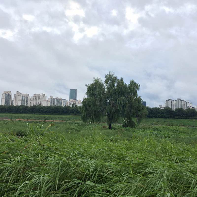 Han River Hike Trail - Yangcheon-gu, Seoul, South Korea | Pacer