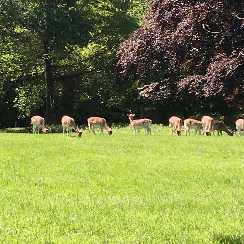 Wollaton Park and environs in England | Walking Map