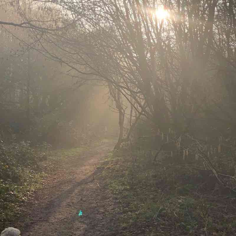 Foremark reservoir | Walking Map