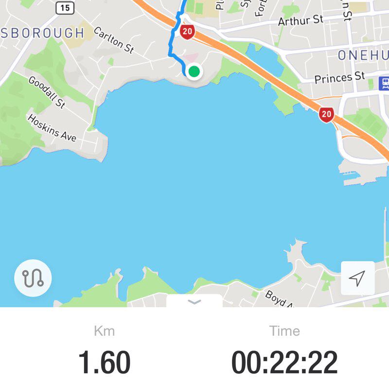 Hillsborough/Mt Roskill | Walking Map