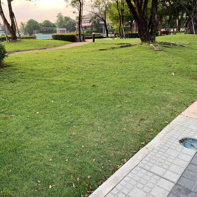 Perfect Place | Walking Map